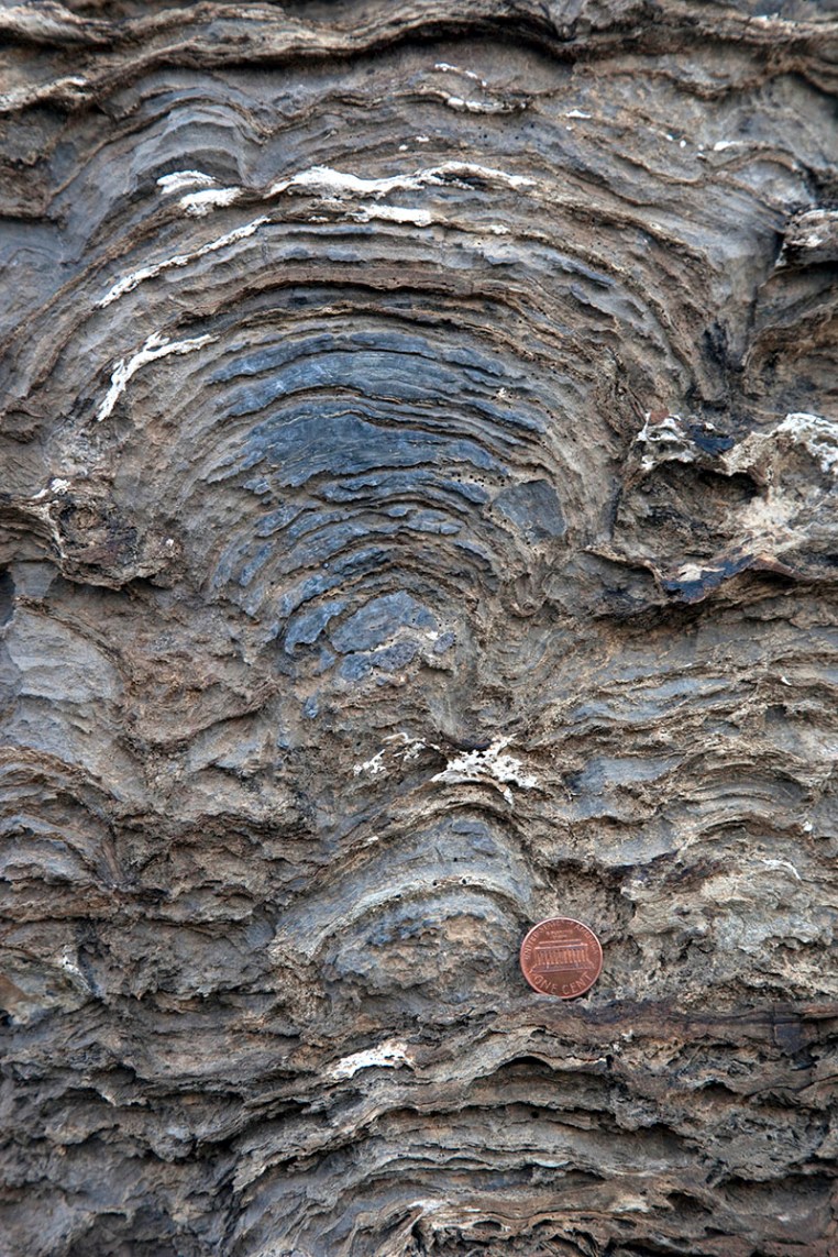 sedimentary structures | geologictimepics